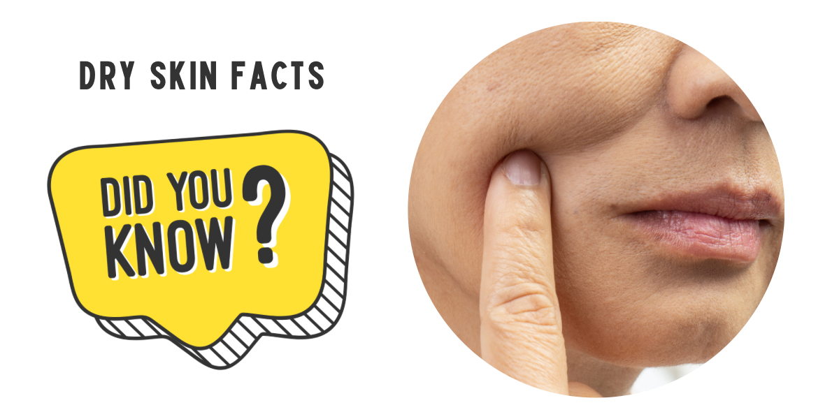 Dry Skin on Face? Here’s What You Need to Know – Natuur.in