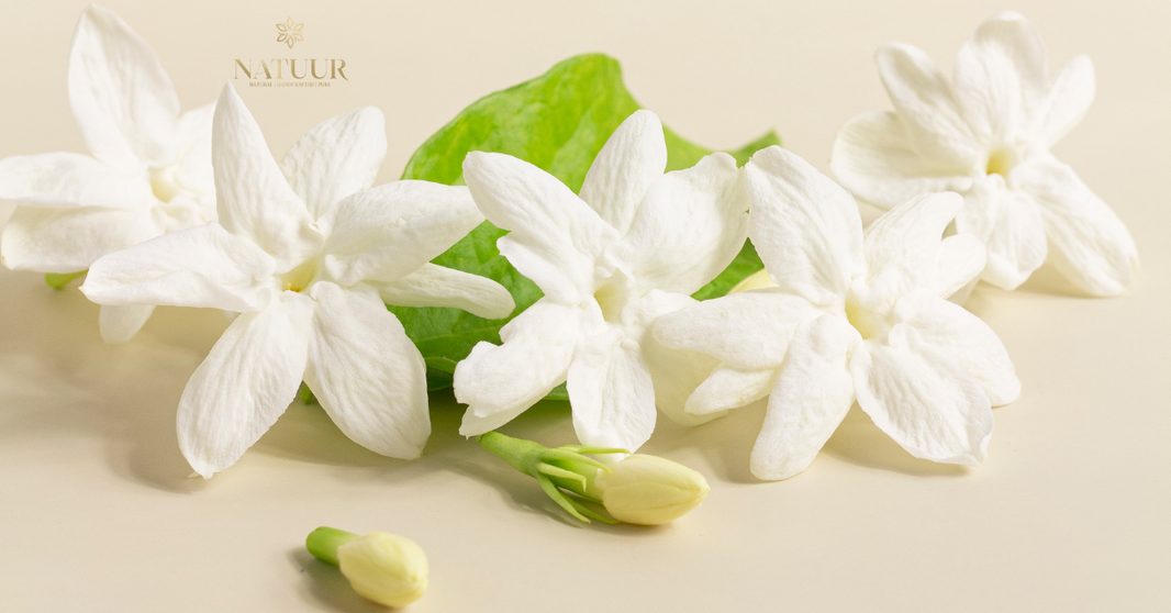 Indian Vanilla: Origins, Benefits & DIY Vanilla Extract | Natuur Guide ...